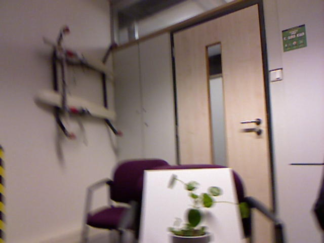 Leaf Instance Segmentation Dataset and Pre-Trained Model by pig