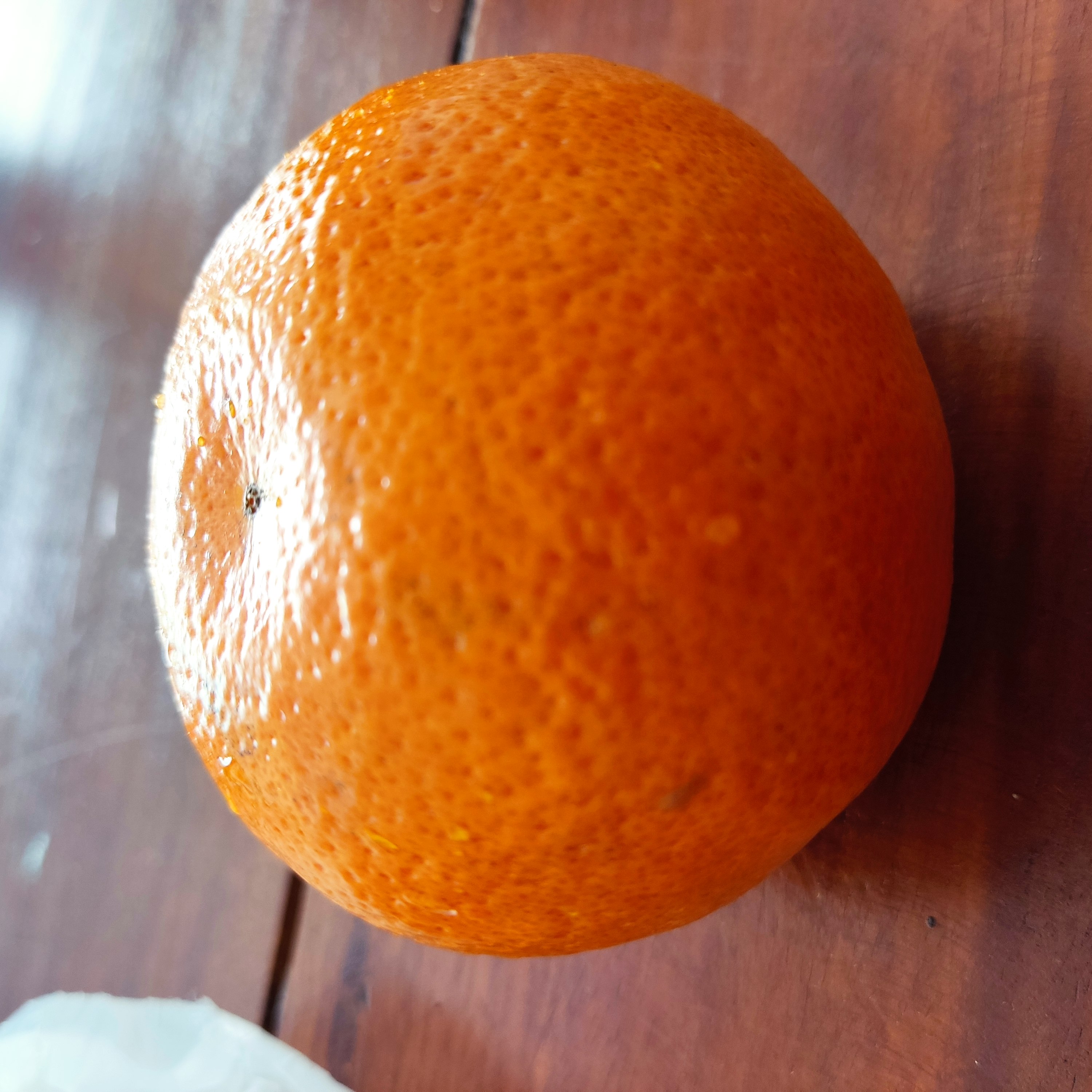 Fresh Rotten Oranges Object Detection Dataset by Object Detection