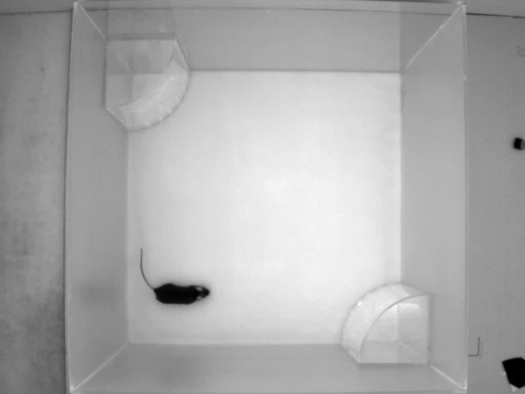 SD detector (2) Instance Segmentation Dataset and Pre-Trained Model by Drink the moon