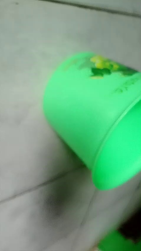 Roboflow Object Detection Dataset by Magang Jentayu