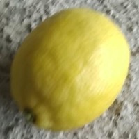 lemon Instance Segmentation Dataset by project-pvw9r