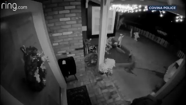 Suspicious Activity Object Detection Model By Sakrobo