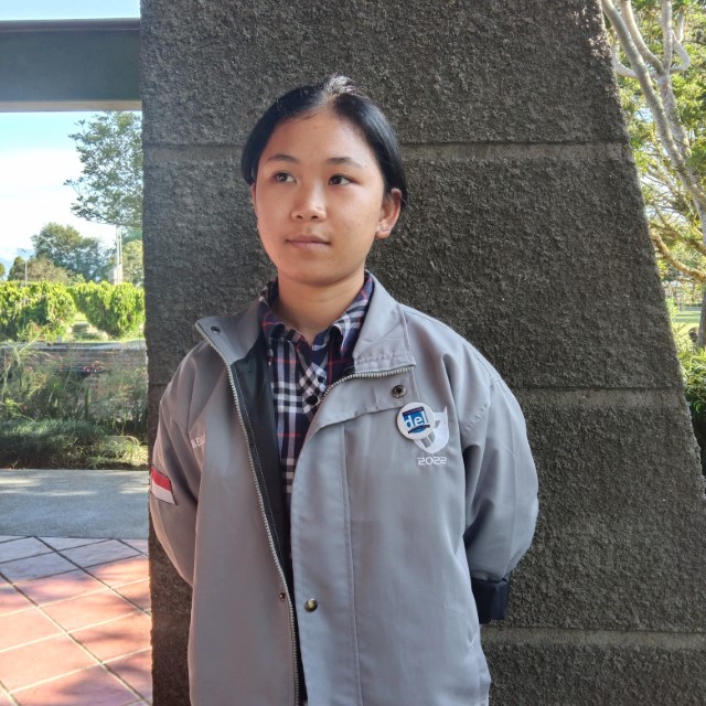 TA Object Detection Model by TInaaa