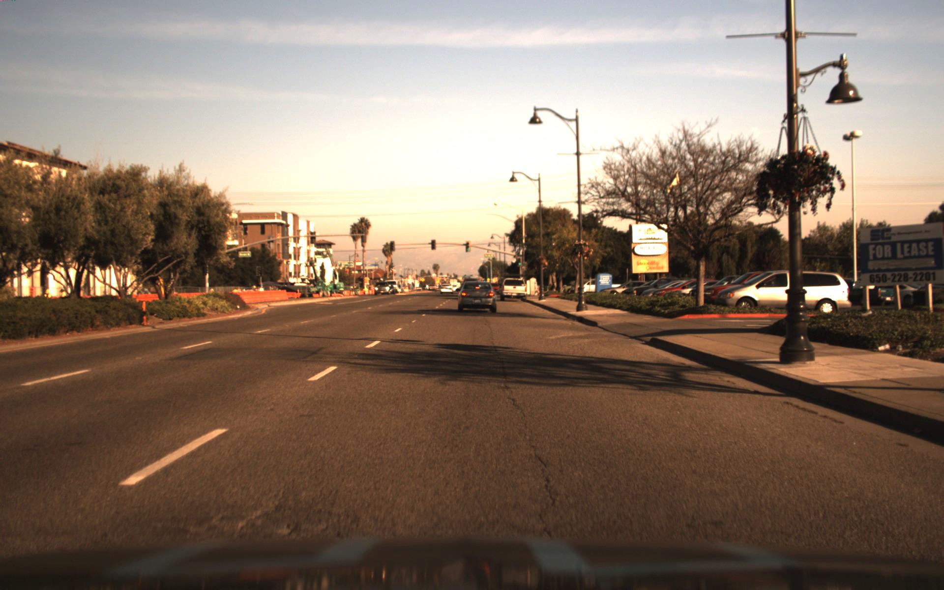 Self Driving Traffic Detection Object Detection Dataset And Pre Trained Model By Selfdriving 1167