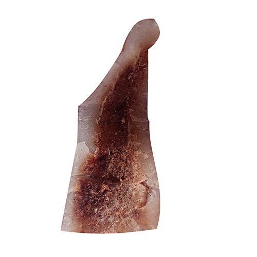 Copra Degree Of Cooking Object Detection Dataset And Pre Trained Model By Garbage