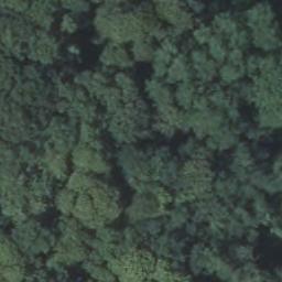 deep_forest Instance Segmentation Dataset by insa