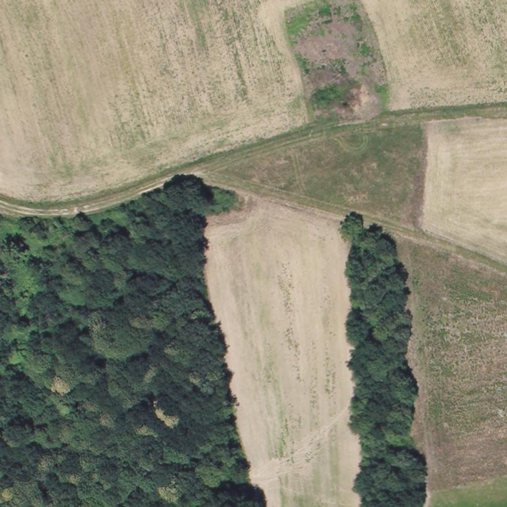 Final Tree Detection Instance Segmentation Dataset By Insa