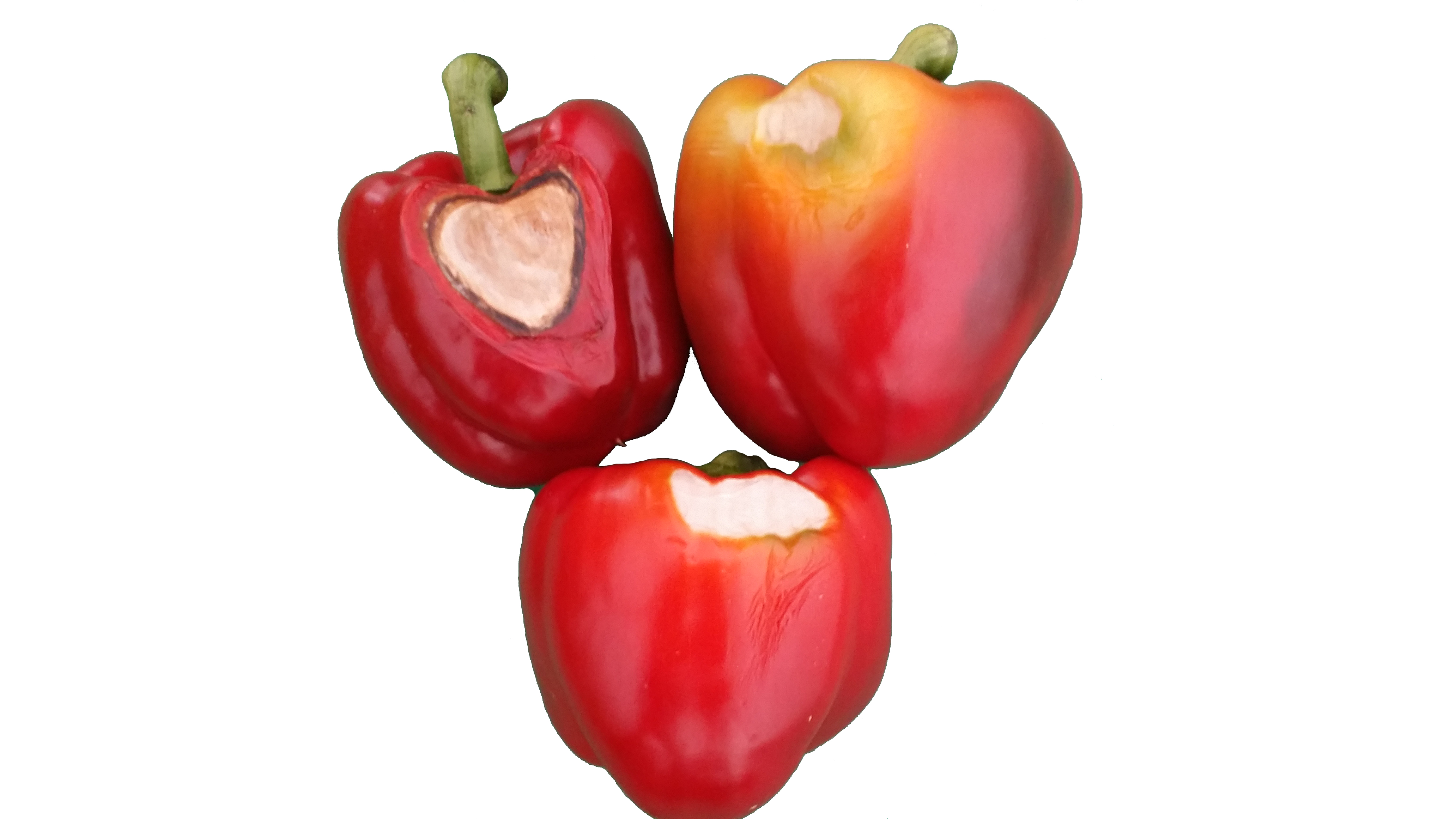 pepper test_3 Object Detection Dataset by JBNU