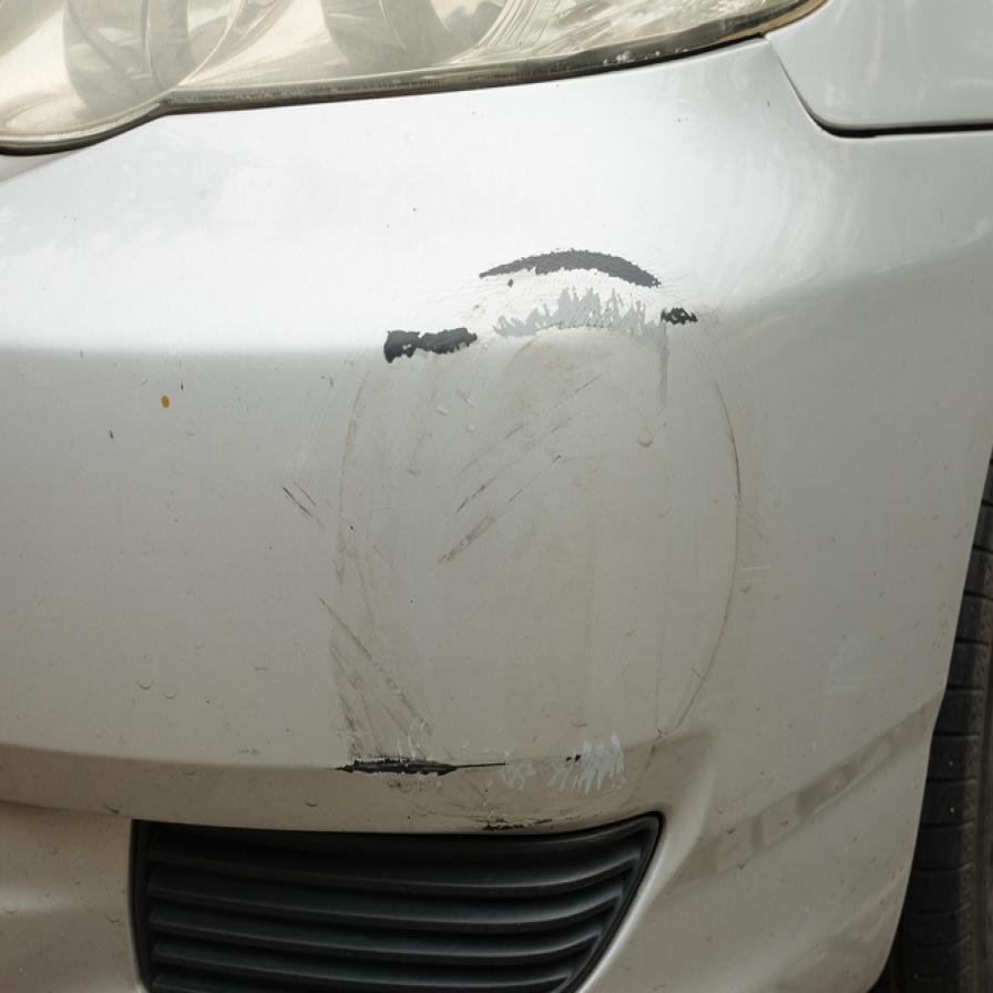 cardd-seg Instance Segmentation Model by Car Damage Analysis