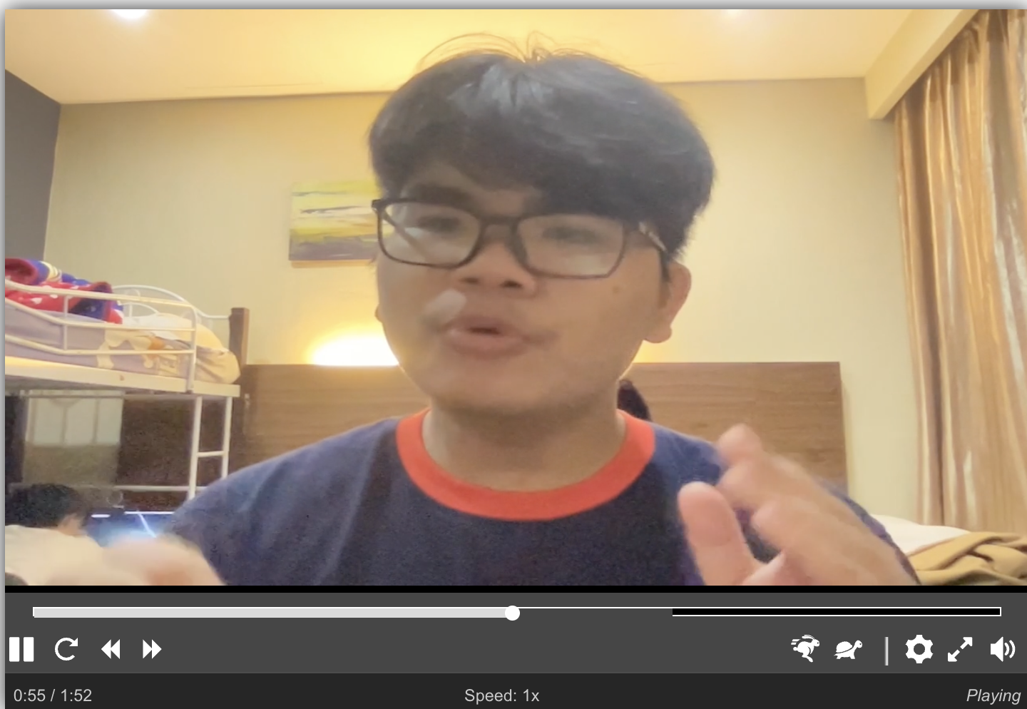 Flag Object Detection Model by PENPEN