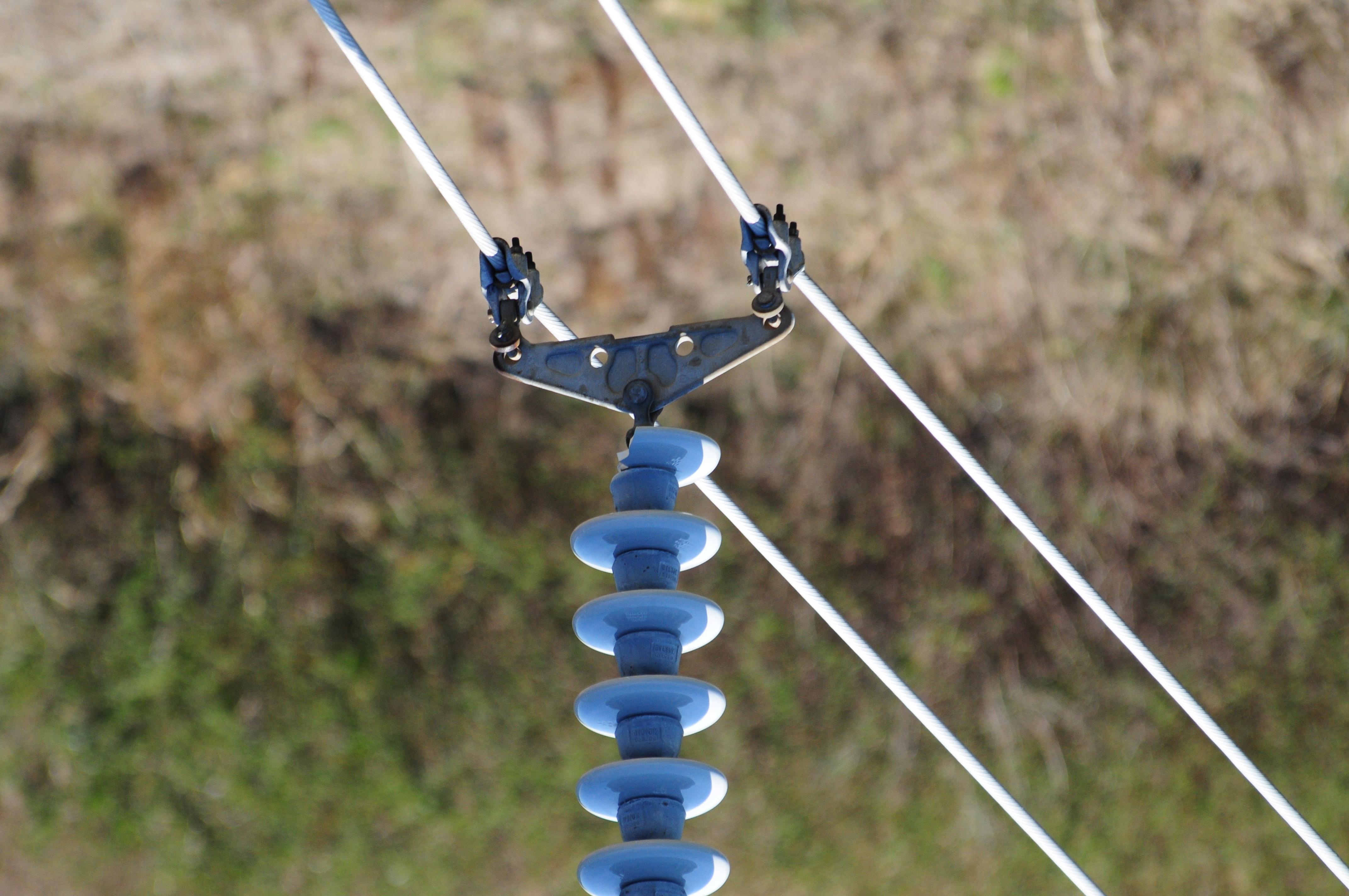 Insulator Models Object Detection Dataset And Pre Trained Model By Dataset