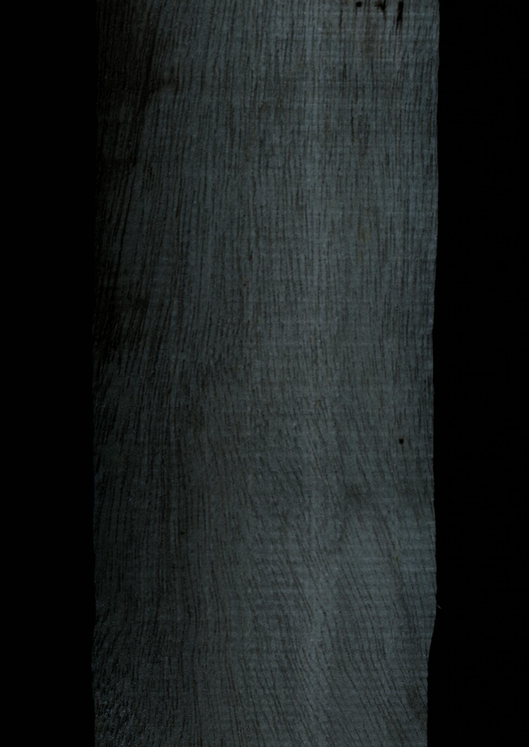 Wood Defect Classification Dataset By Fyp