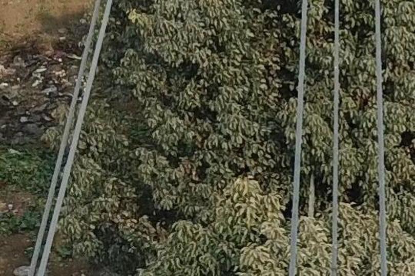 Powerline Detection Object Detection Dataset by college