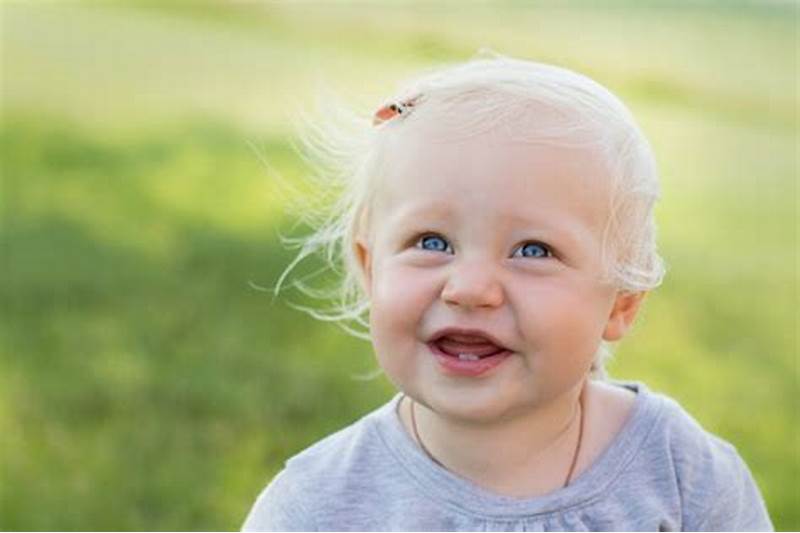 face Object Detection Dataset (v1, 2022-12-14 9:26am) by student yolov5