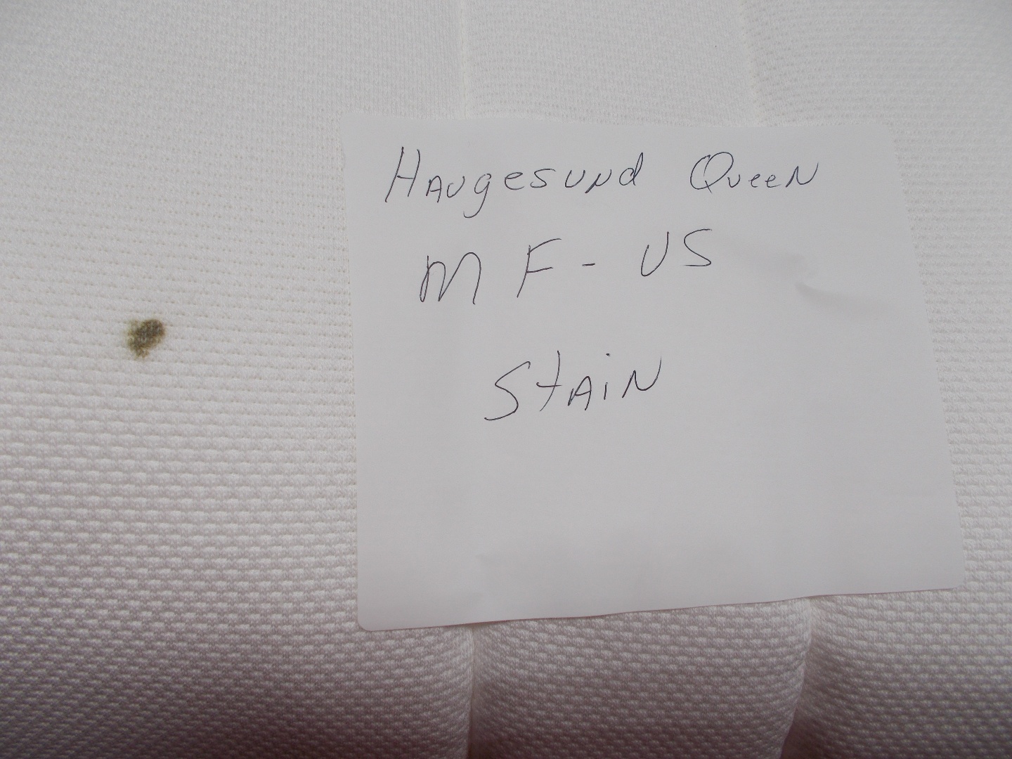 EBI defects Object Detection Dataset by EBI Inspection app