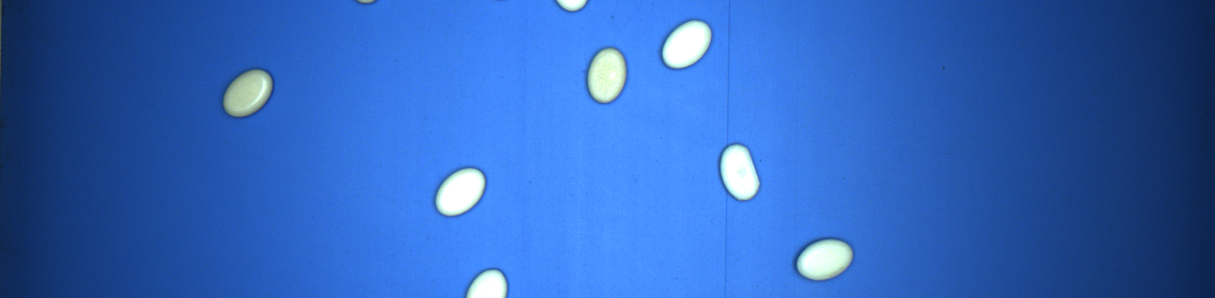 candy defect detection Object Detection Dataset by candy defection