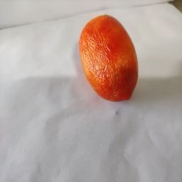 Masimba - Roboflow Universe