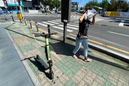 Street Object Detection Model by project-rmhsc