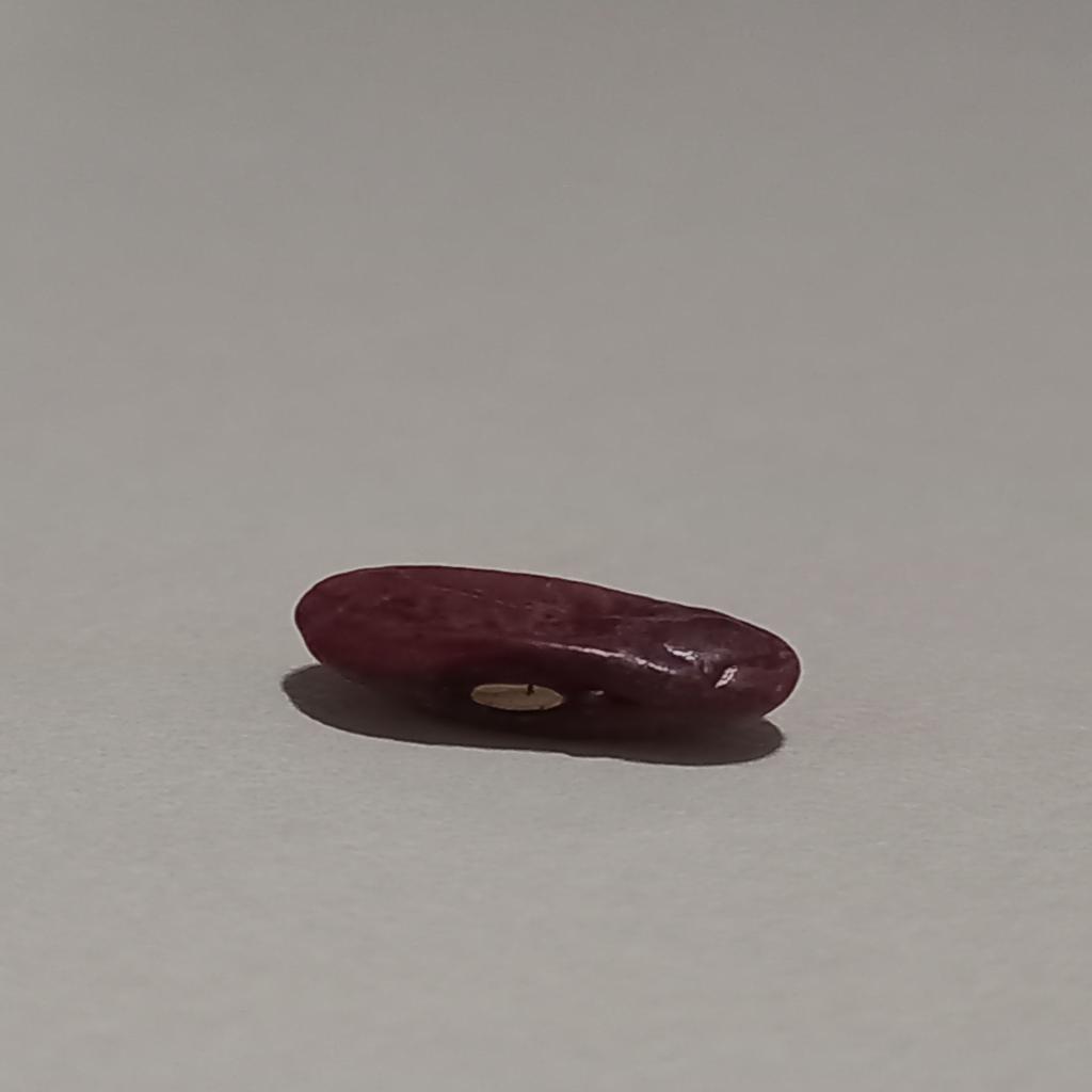 mal estado Object Detection Model by Proyecto Intento Final Final