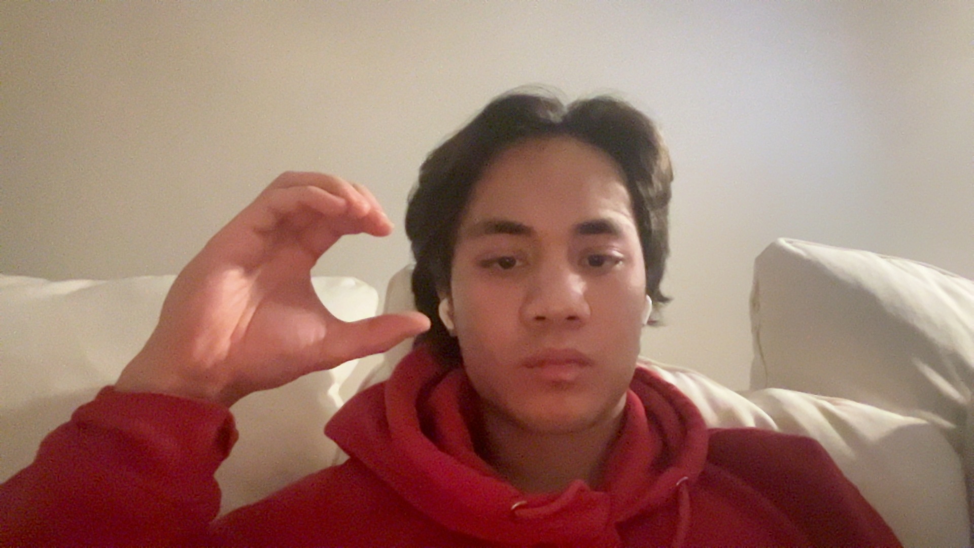 Sign Languages Object Detection Dataset and Pre-Trained Model by Irell Zane