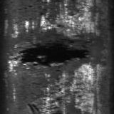 real_samples Object Detection Dataset by Yolov5