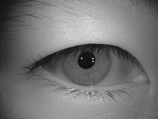 iris-data Object Detection Model by Iris