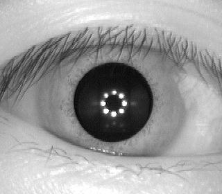 Irises Object Detection Dataset by Iris