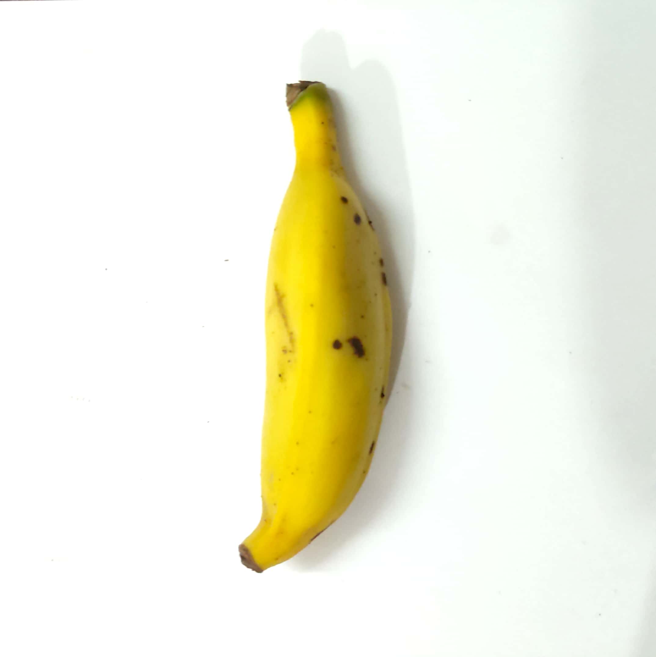 Banana Classification Dataset by Pureai