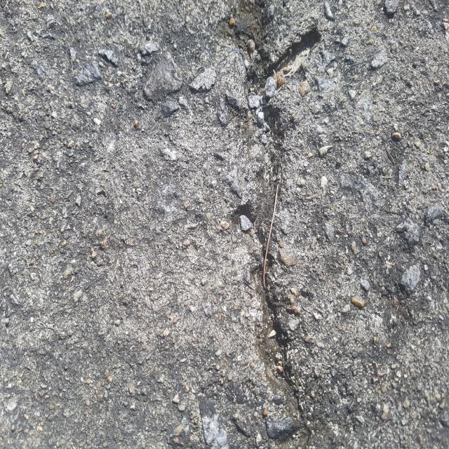 Crack_detection Instance Segmentation Model by Crack