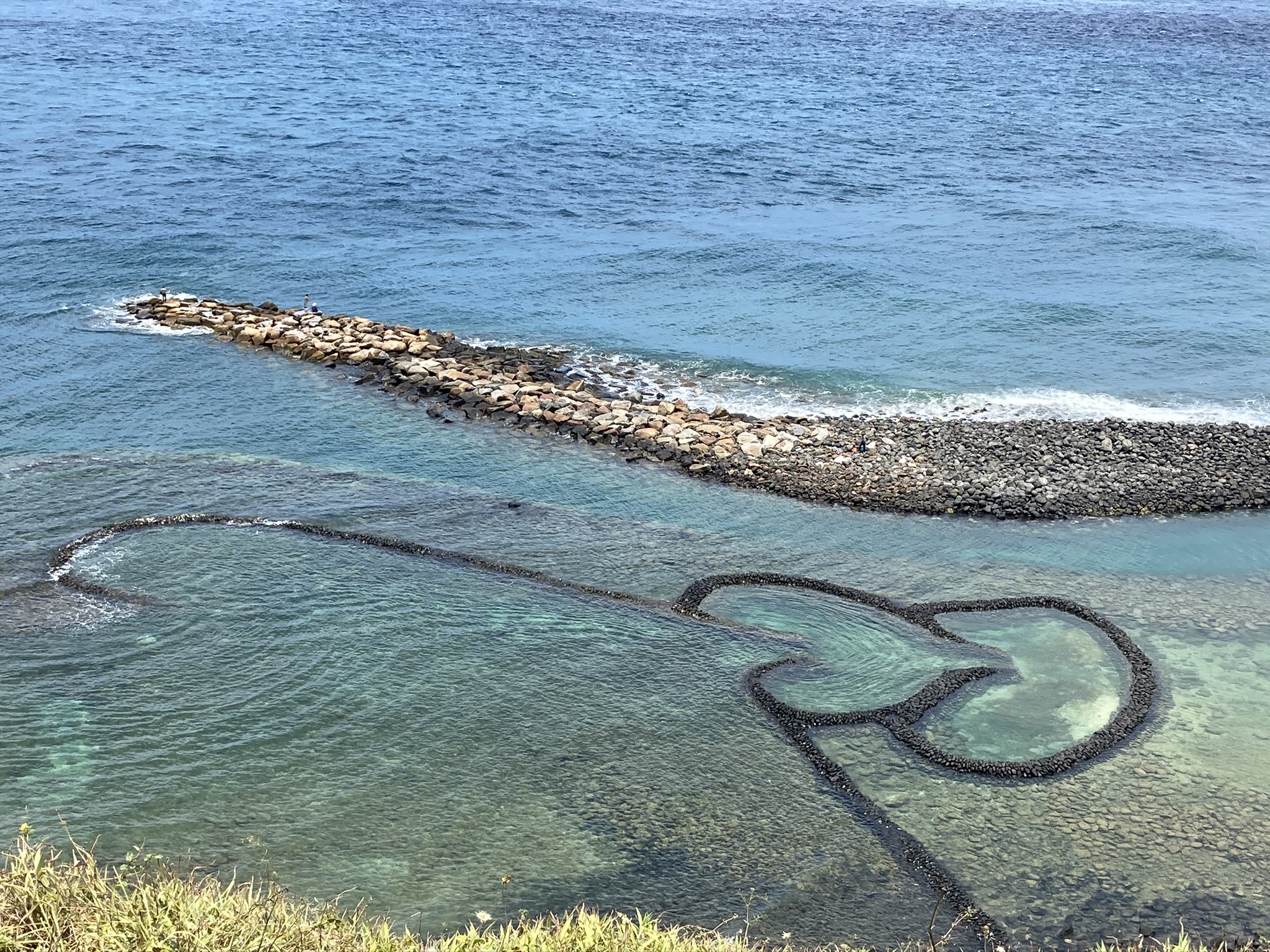 homework_Classification Classification Model by discover