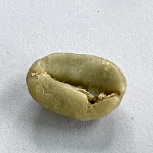 coffee bean Object Detection Model by test