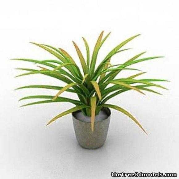 Plant Detection Object Detection Dataset And Pre Trained Model By Najibworkspace