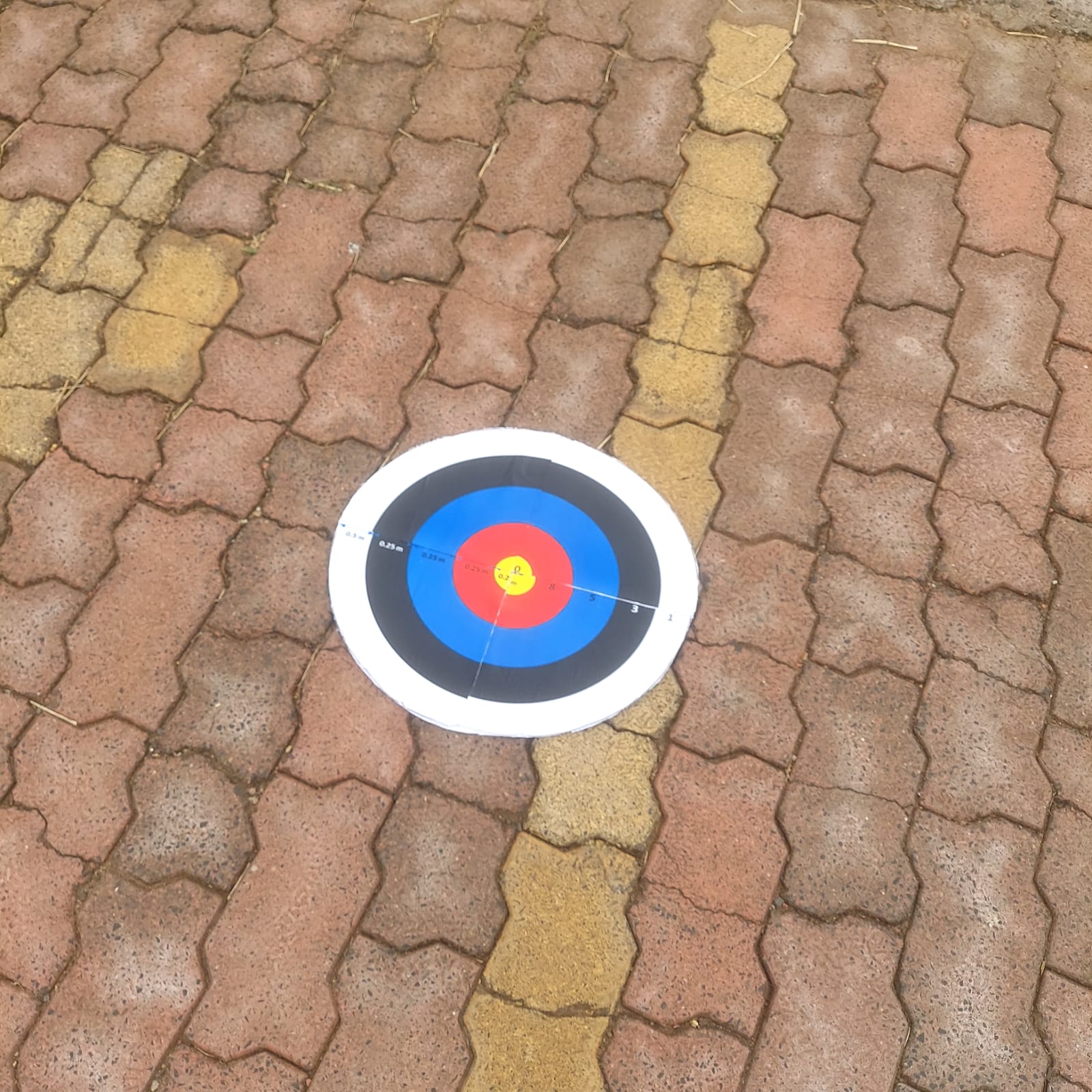 AFC - Roboflow Universe