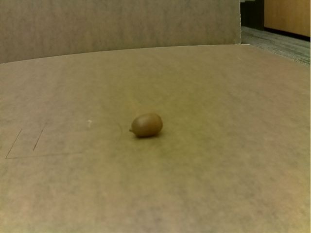 Acorn And Decahedron Object Detection Dataset By Bittle