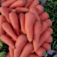 Vegetable_Object_Detection Object Detection Dataset and Pre-Trained Model by ...