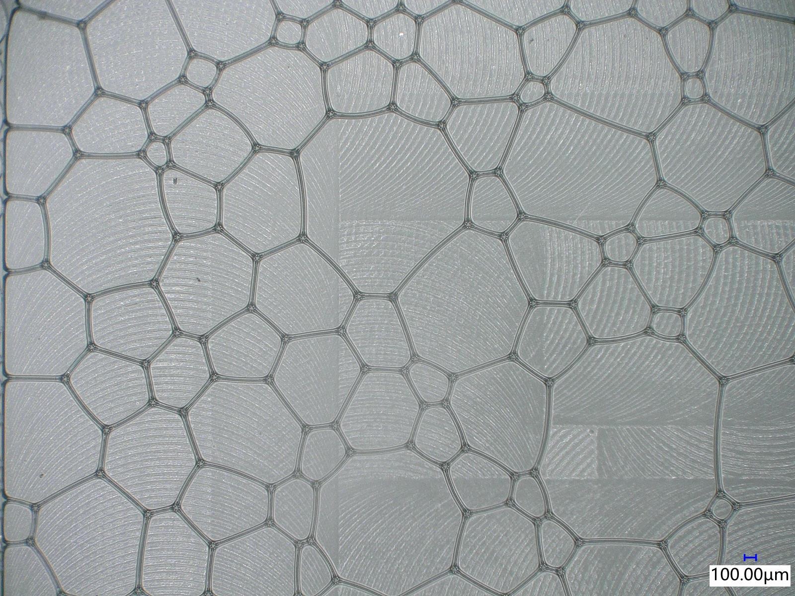 sam Instance Segmentation Dataset by autoshoot