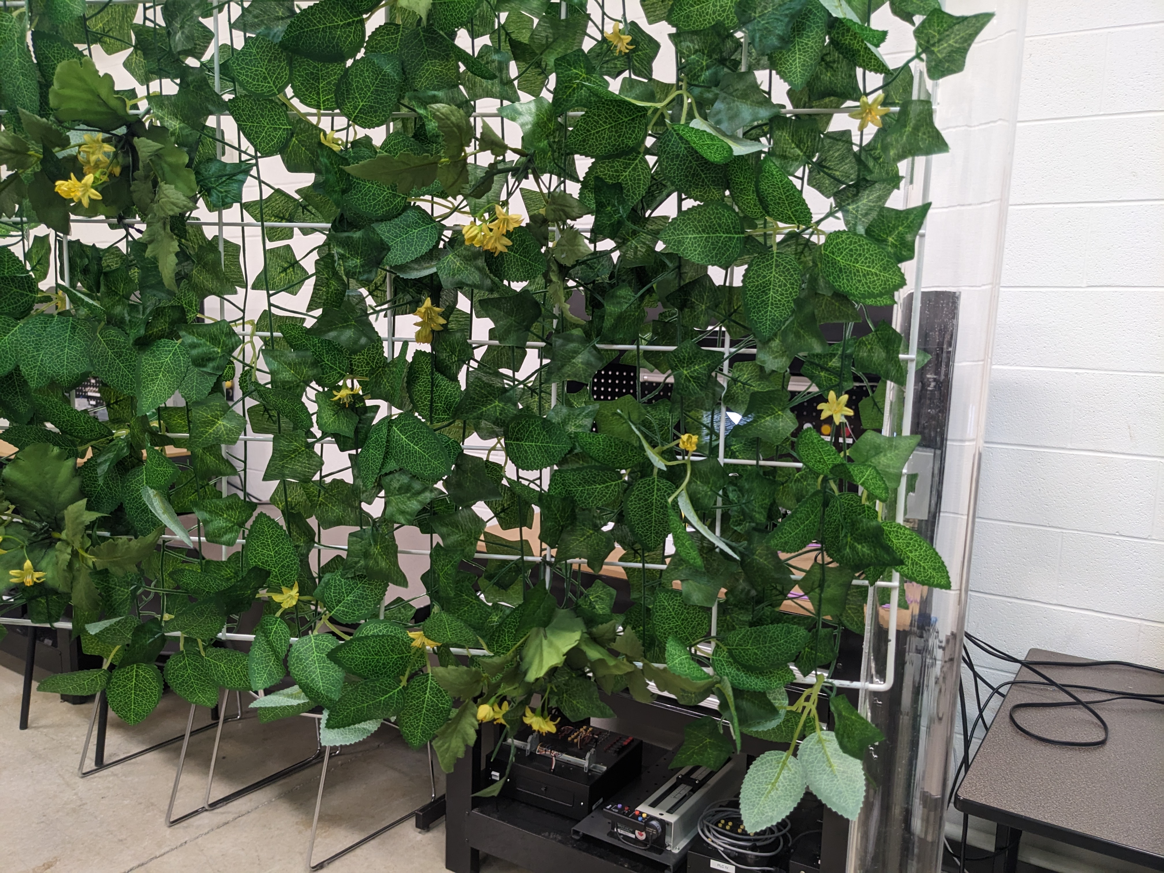 Pollinator Object Detection Model by Pollinator