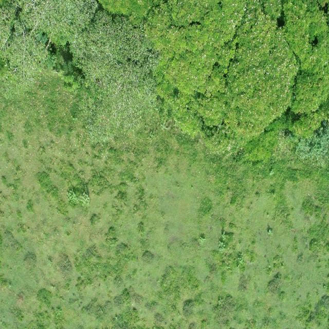 CP_UAS Instance Segmentation Dataset by CoffeeITCRSAV