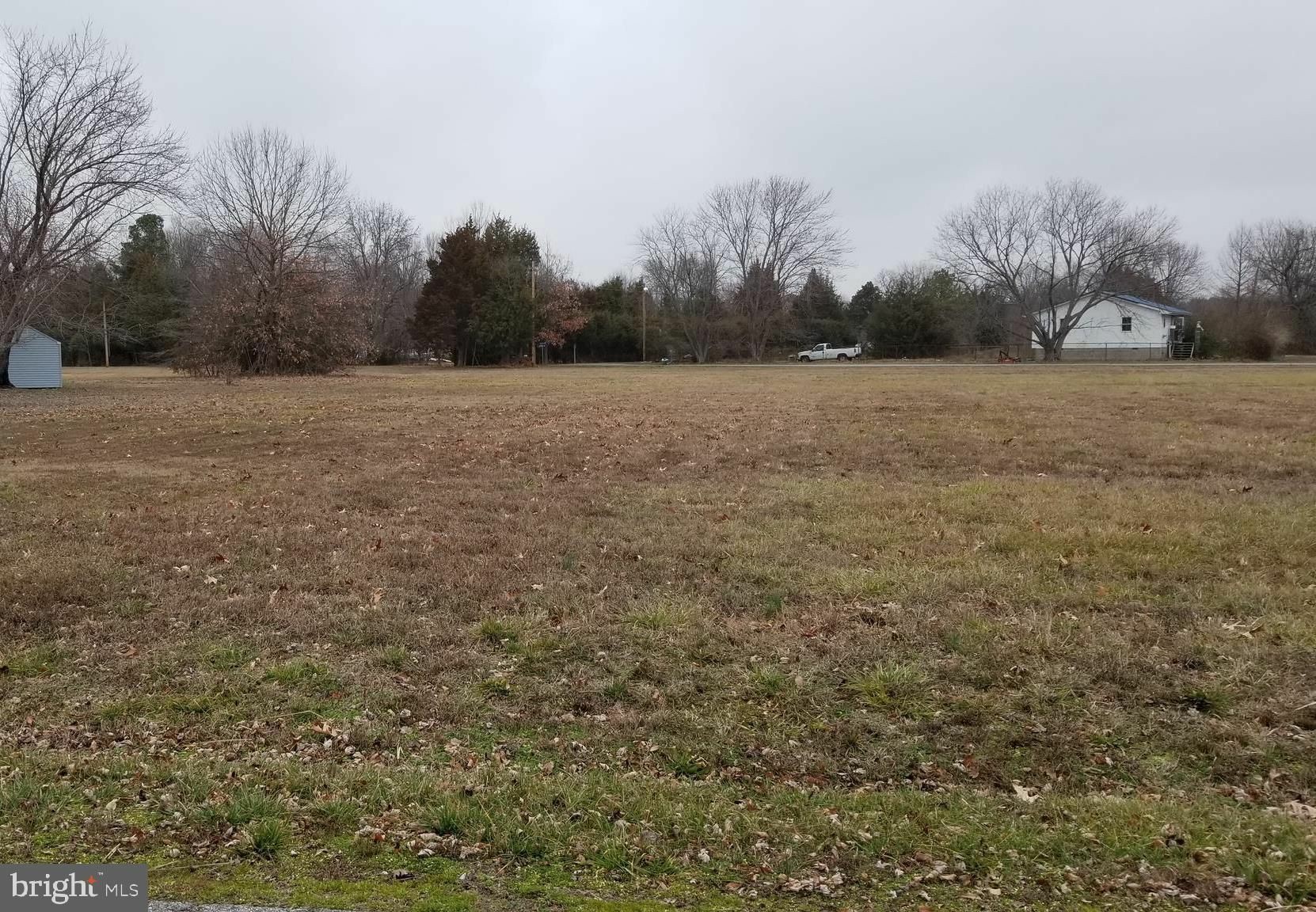 Landscape v3 Instance Segmentation Dataset by Ambition