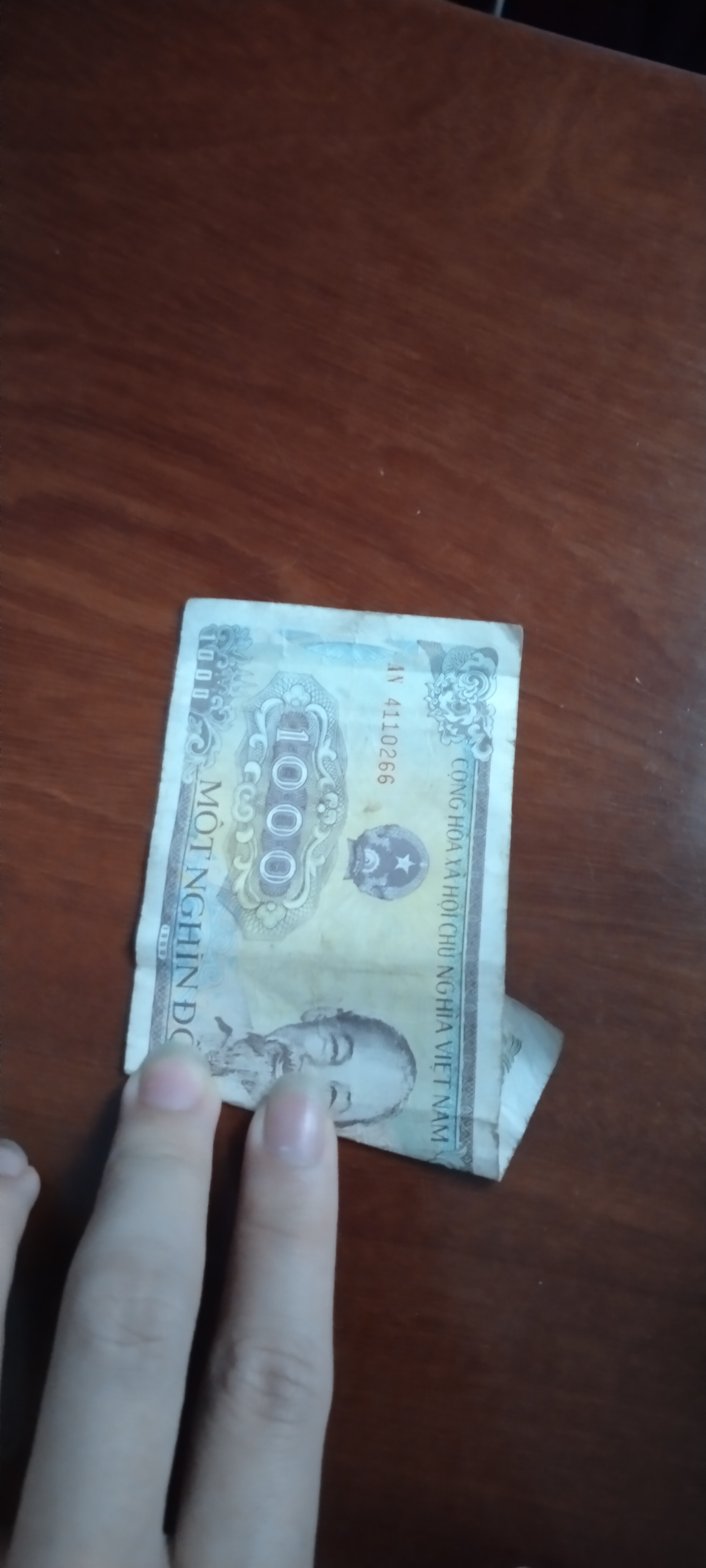 VND Object Detection Model by kimthai