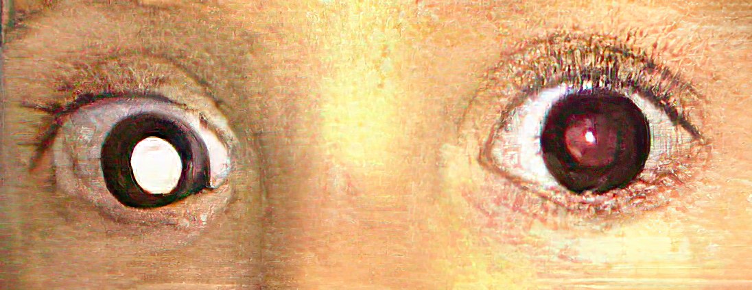 WRM Classification Dataset (v1, 2022-04-20 1:57pm) by new-workspace-fbfsp