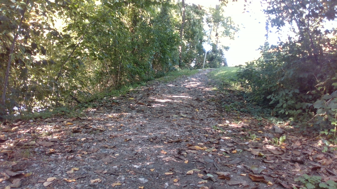 Forest Object Detection Dataset by Linux NEP