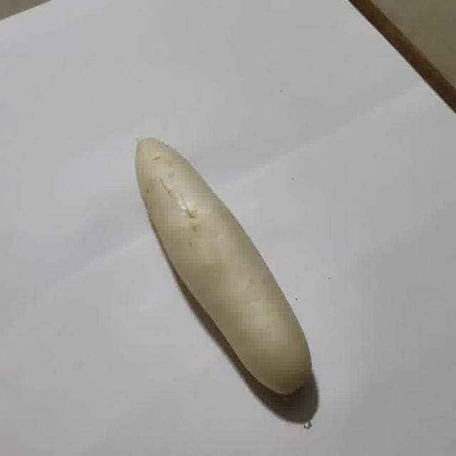 Test Object Detection Dataset And Pre Trained Model By Test