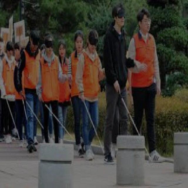 blind-guide-ai Object Detection Dataset by VisionAid