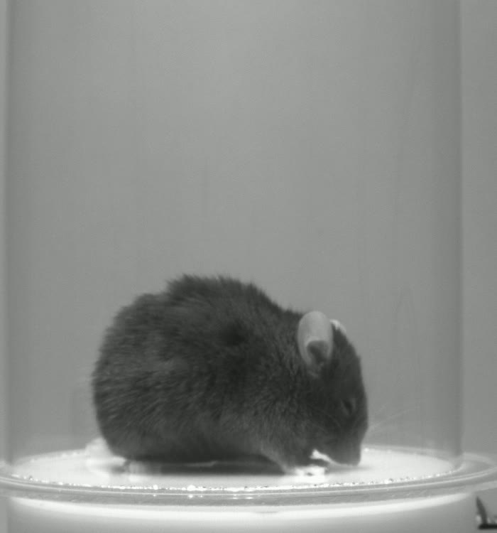 Emrick Lab - Roboflow Universe