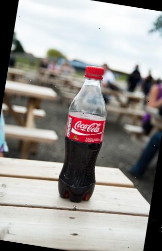 Coke Object Detection Dataset by ai inven