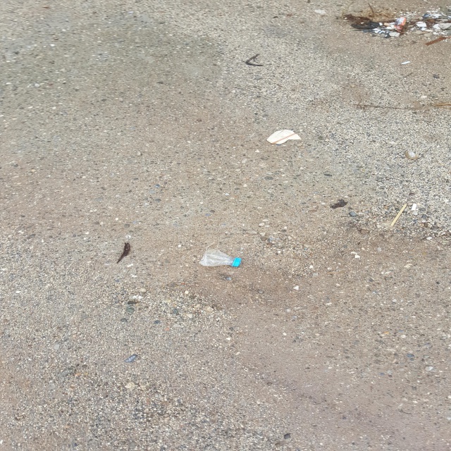 Trash Detection Object Detection Dataset By University