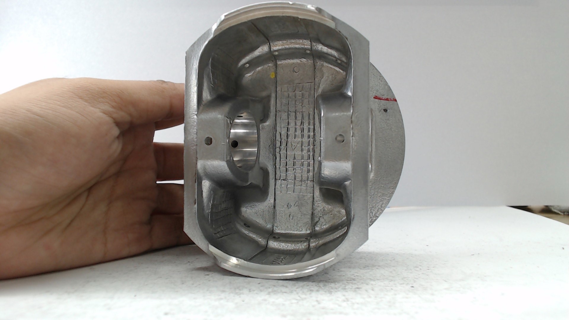 ayuya - Roboflow Universe