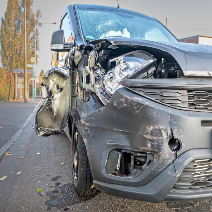 cardd-segmentation Instance Segmentation Dataset by thesiscardd