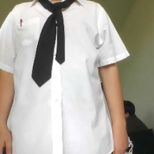 shirt Object Detection Dataset by project-sn1ie